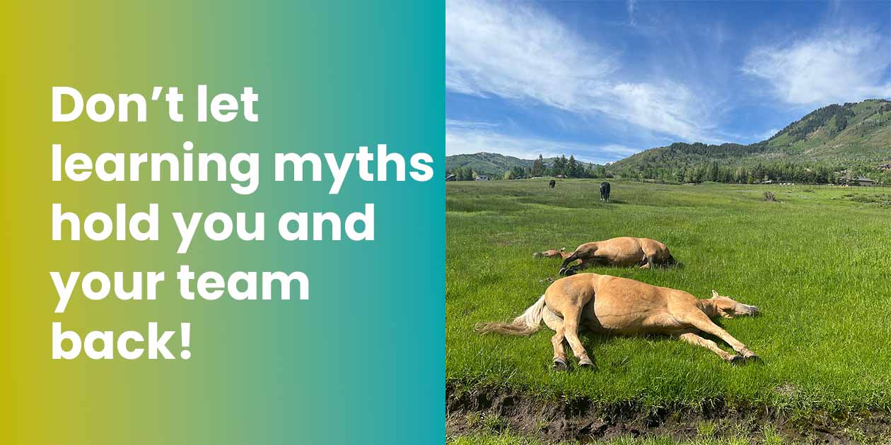 3 Common Learning Myths that Prevent a Growth Mindset and Cost Sales ...